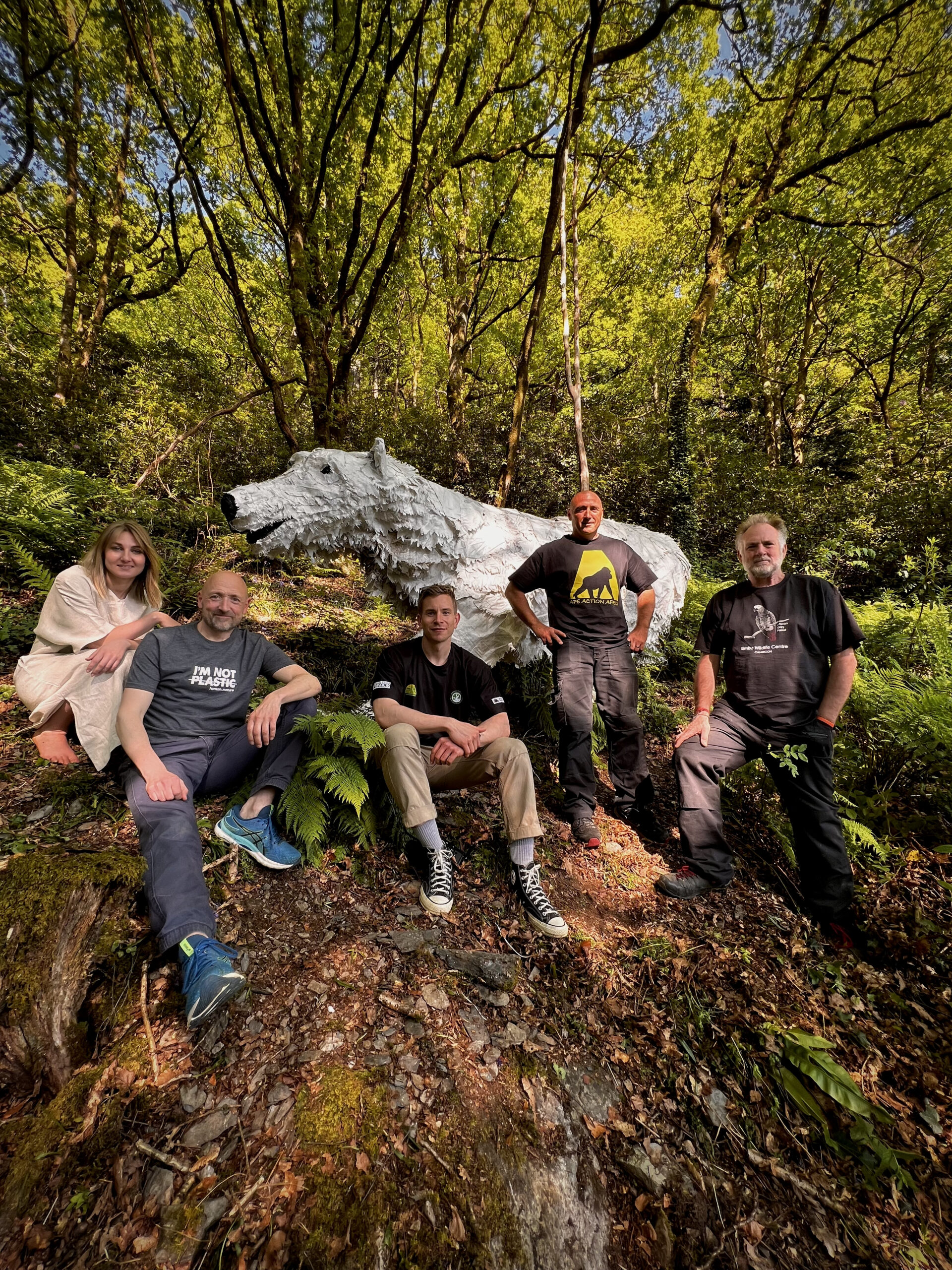 The Lost Bear - Betws Railway Station